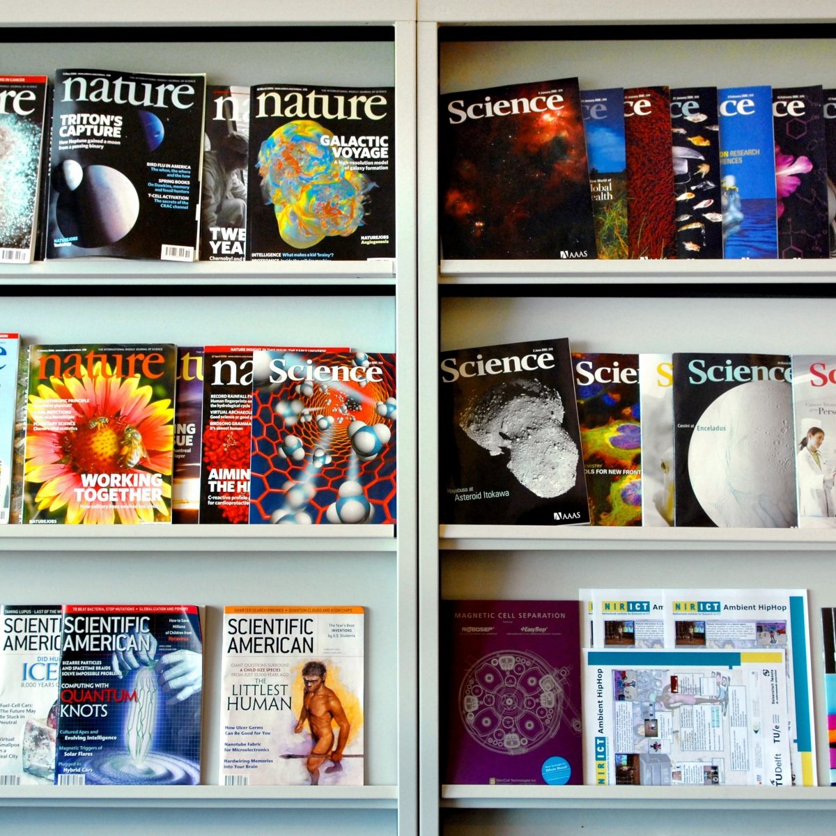 Development of the scientific research profile of the Netherlands ...