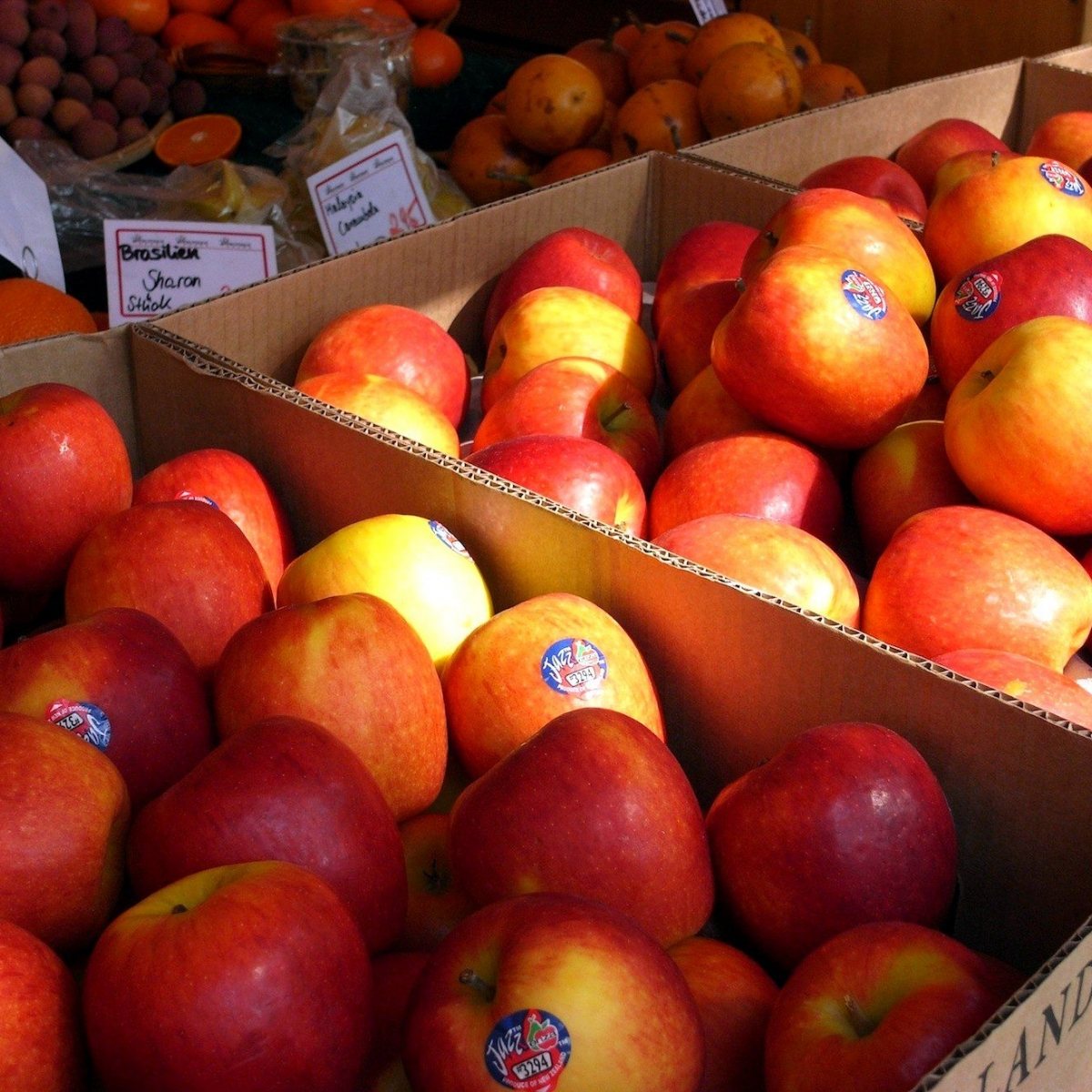 Kruip met Crispr-Cas-voedsel niet weer de loopgraven in | Rathenau ...